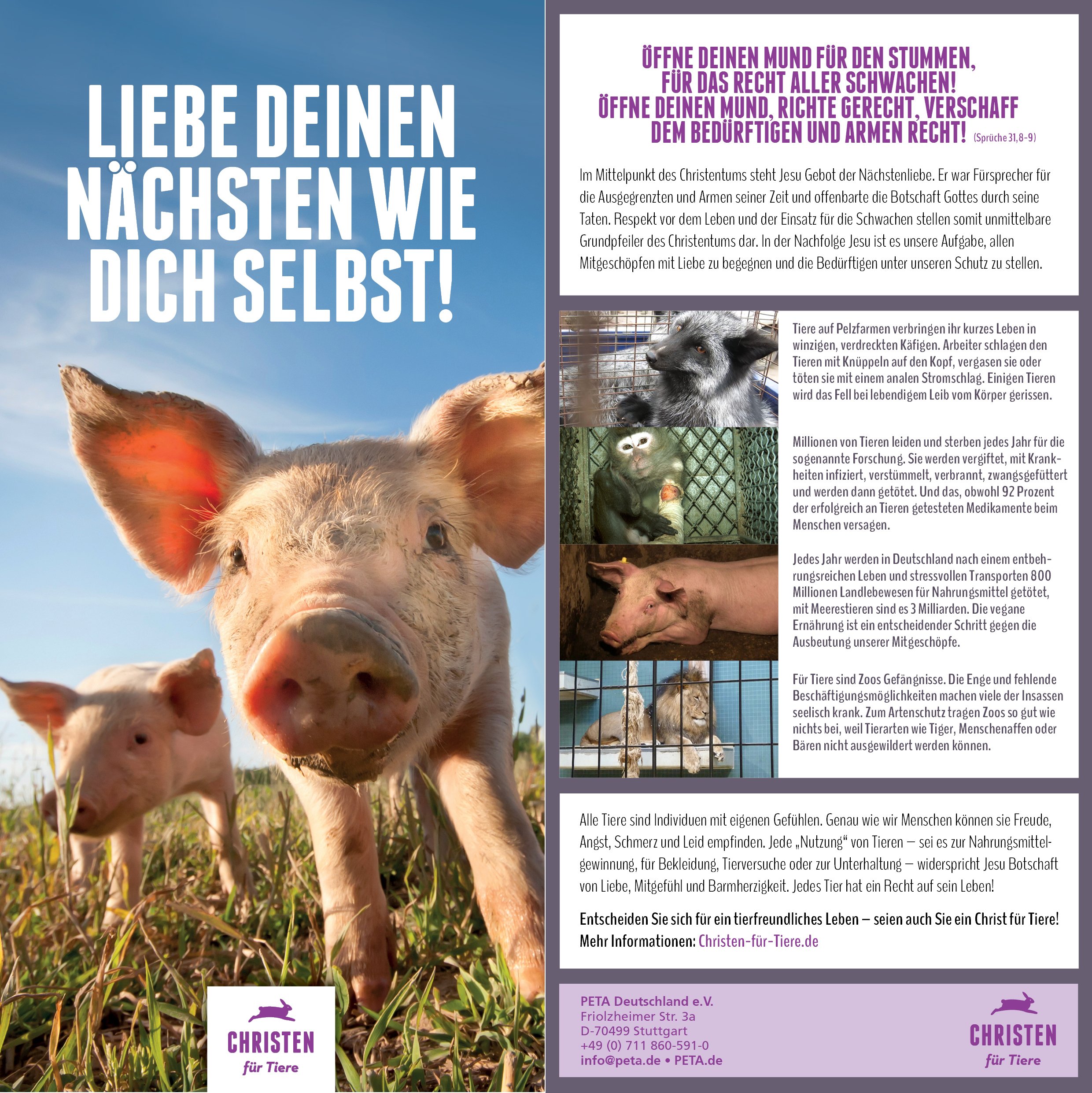 „Christen für Tiere“ appelliert zur Fastenzeit an Gemeinden in Mainz ...