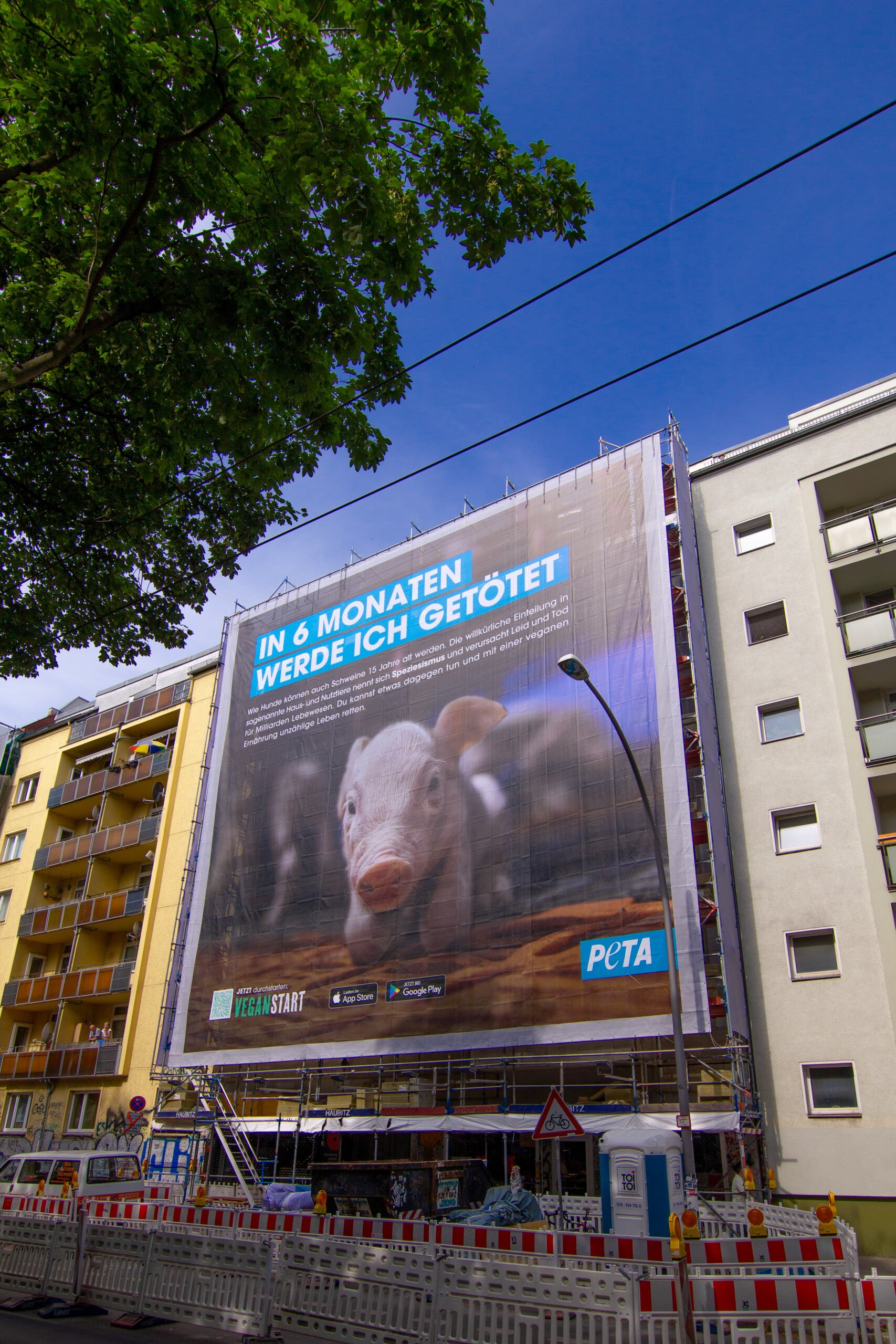 Über 250 Quadratmeter groß! PETA macht in Berlin mit Plakat in ...