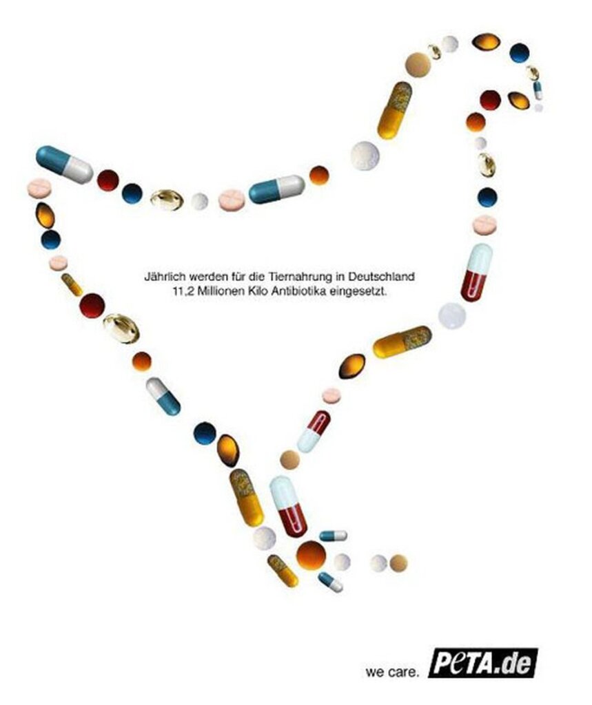 Intensivtierhaltung nur durch den Einsatz von Antibiotika möglich - Presse Portal