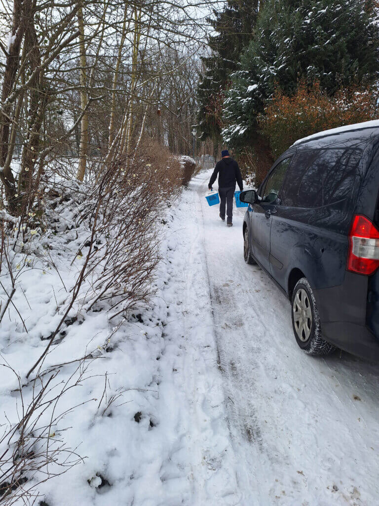 Tote und verwahrloste Tiere in Beeskower Kleingartenanlage ...