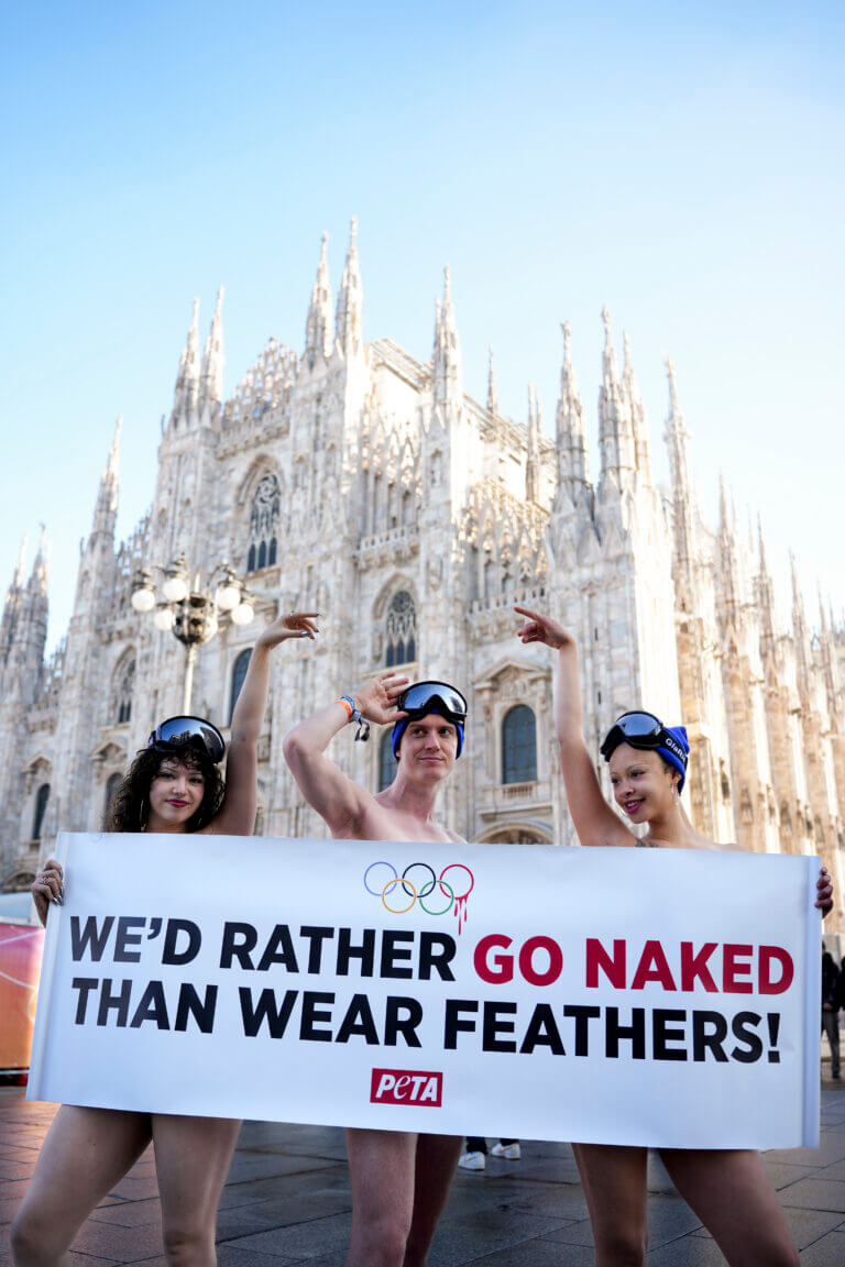 „We’d Rather Go Naked Than Wear Feathers“: PETA-Nacktprotest gegen ...